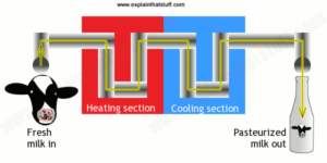 How is Milk Produced?