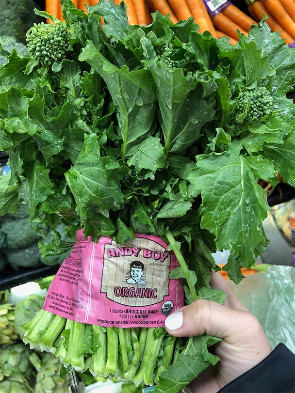 Exploring Salinas Valley