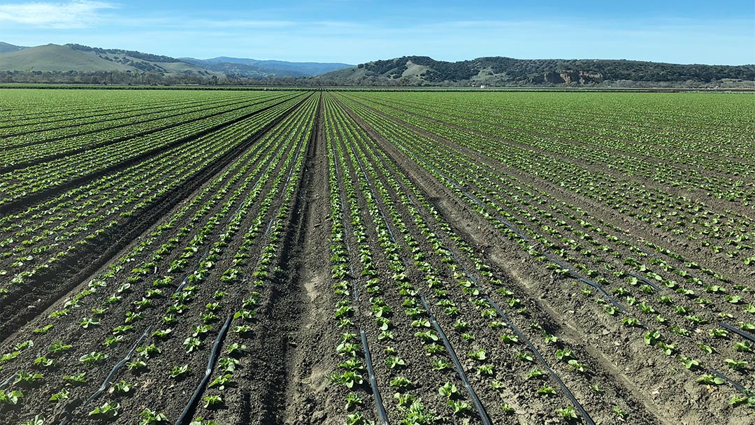 Exploring Salinas Valley