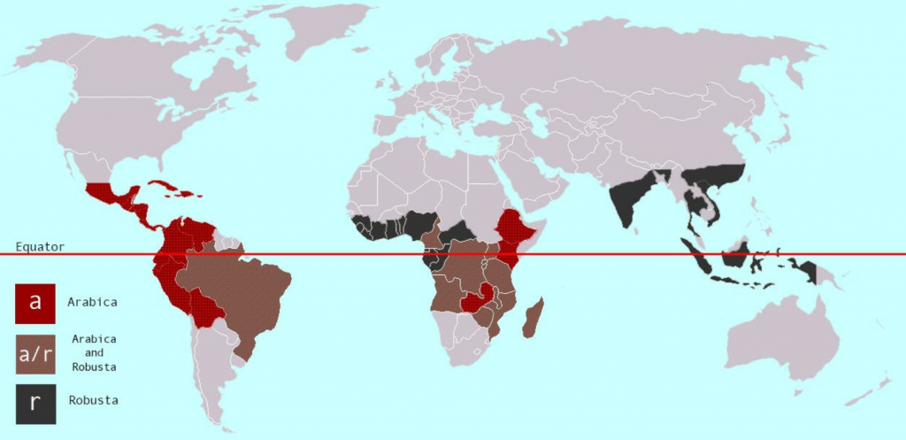 Where and how is coffee grown?