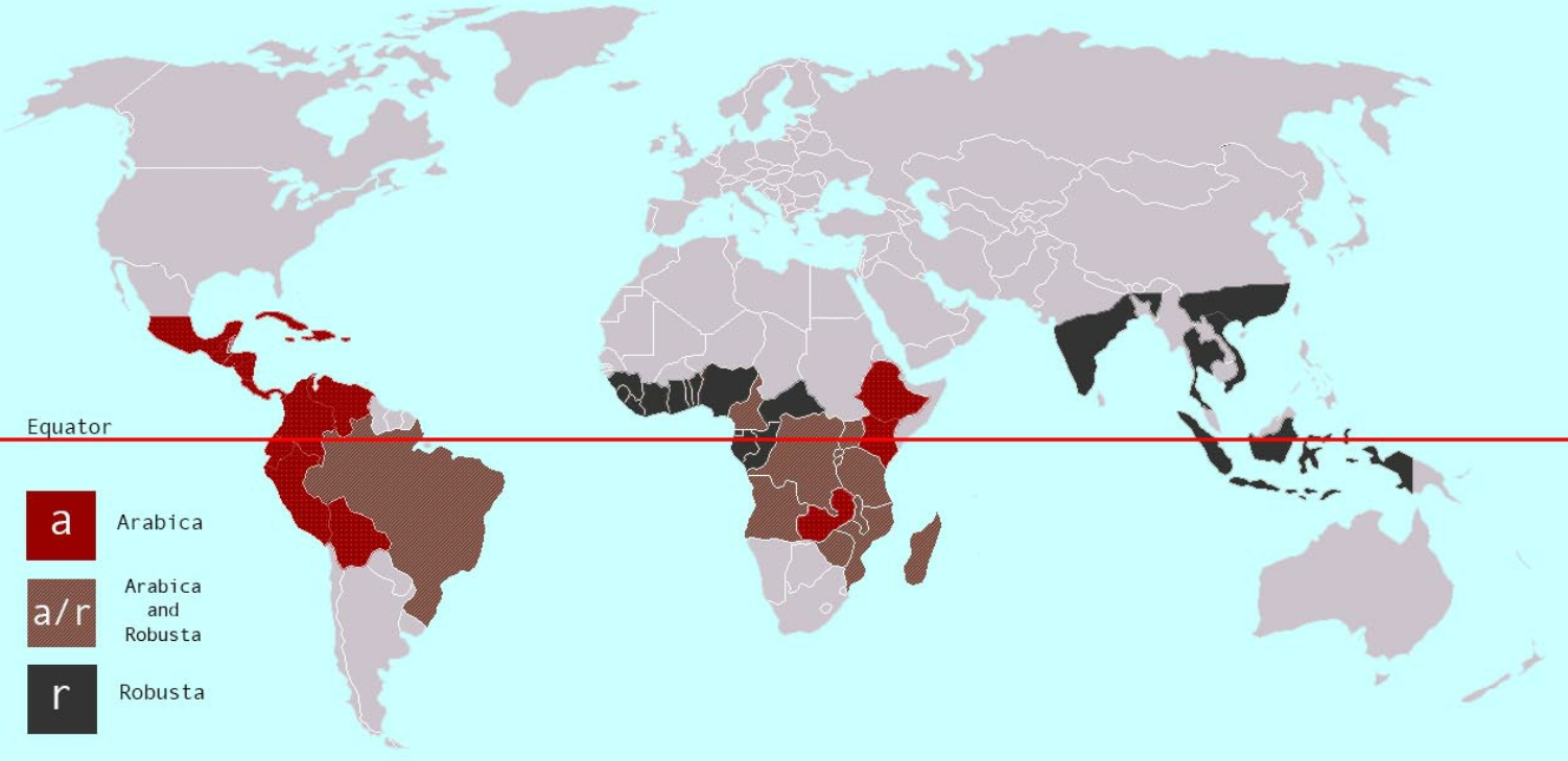 Where and how is coffee grown?