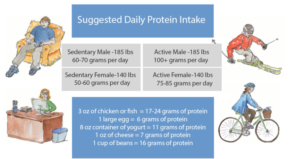 How Much Protein Should You Eat a Day?