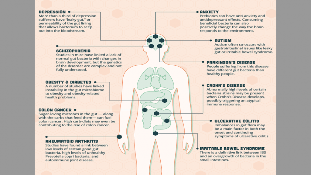 Chronic Inflammation