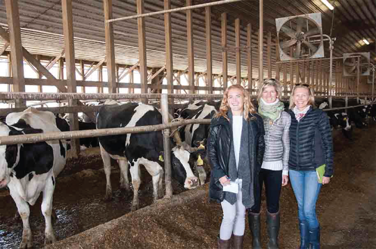 How is Milk Produced?