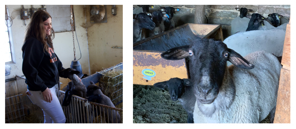 The Farm Babe: An Ag Love Story - Dirt to Dinner