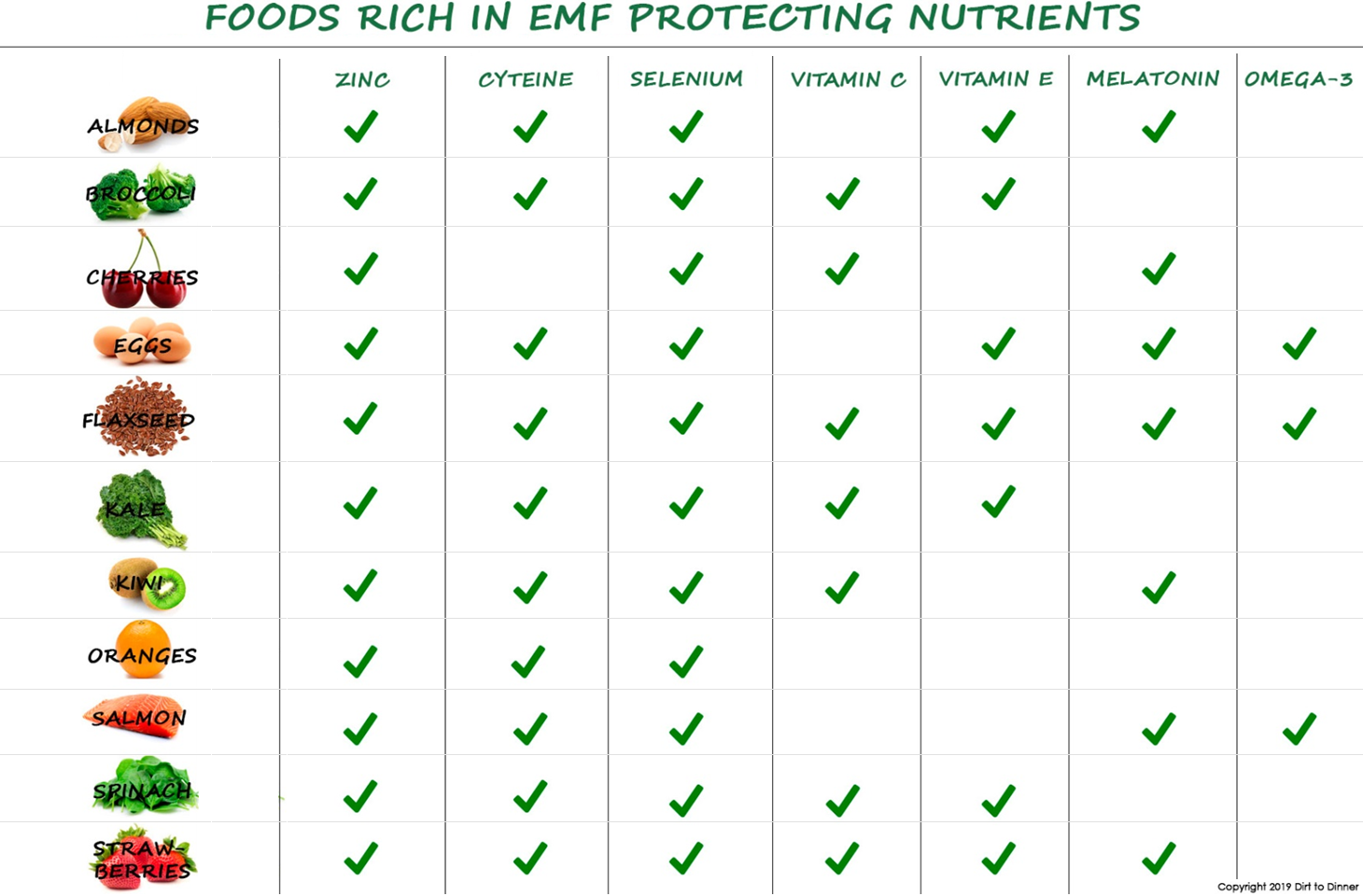 Electromagnetic Fields: Protecting Yourself through Nutrition - Dirt to ...