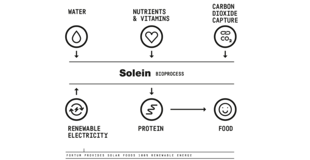 Solein: A Space-Age Protein - Dirt to Dinner