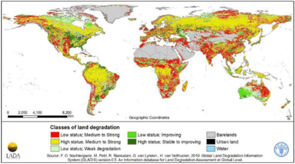 Land Degradation: The History Lesson We Are Still Learning - Dirt to Dinner