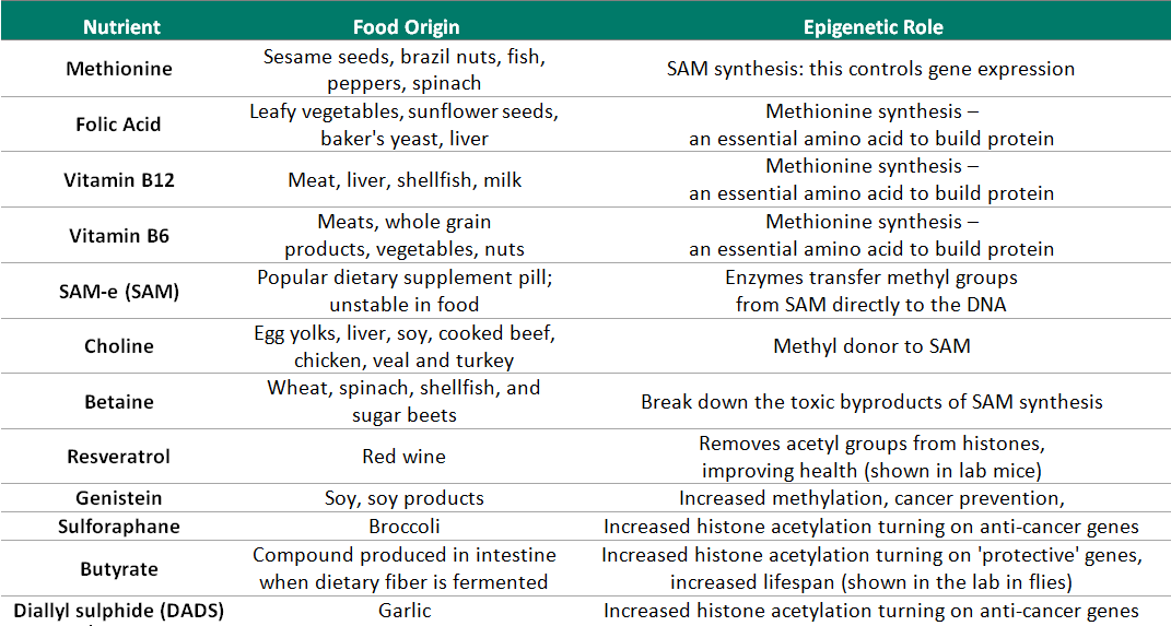 Epigenetics: Can We Control our Health? - Dirt to Dinner