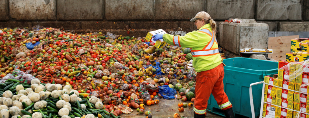 Where is our Food?! - Dirt to Dinner