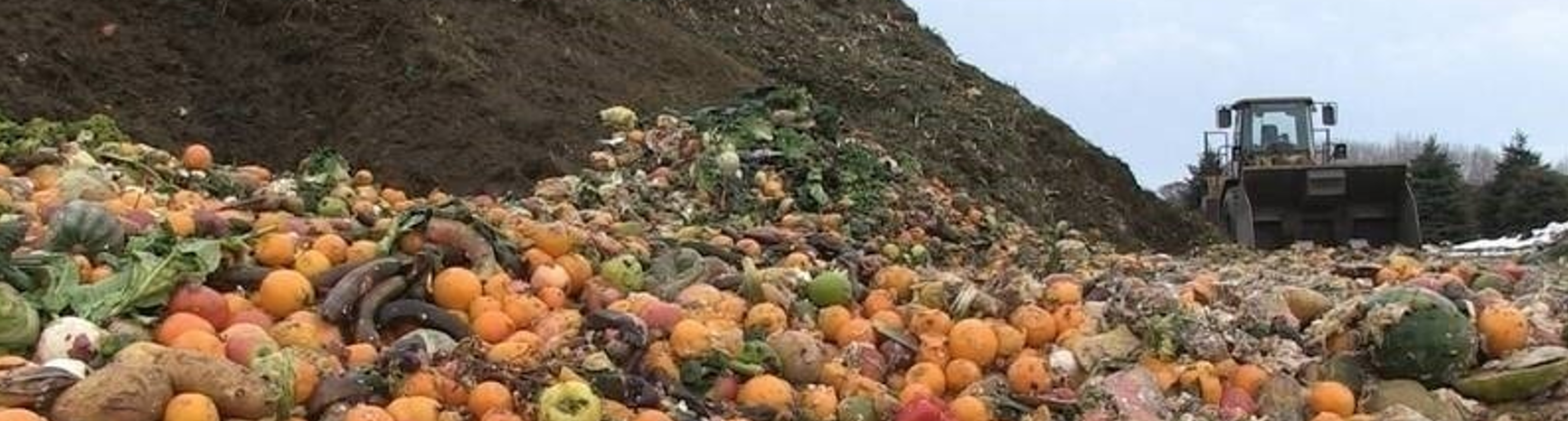 Why produce aisles look so barren right now… - Dirt to Dinner