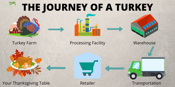Will We Still Have A Thanksgiving Turkey This Year? - Dirt to Dinner