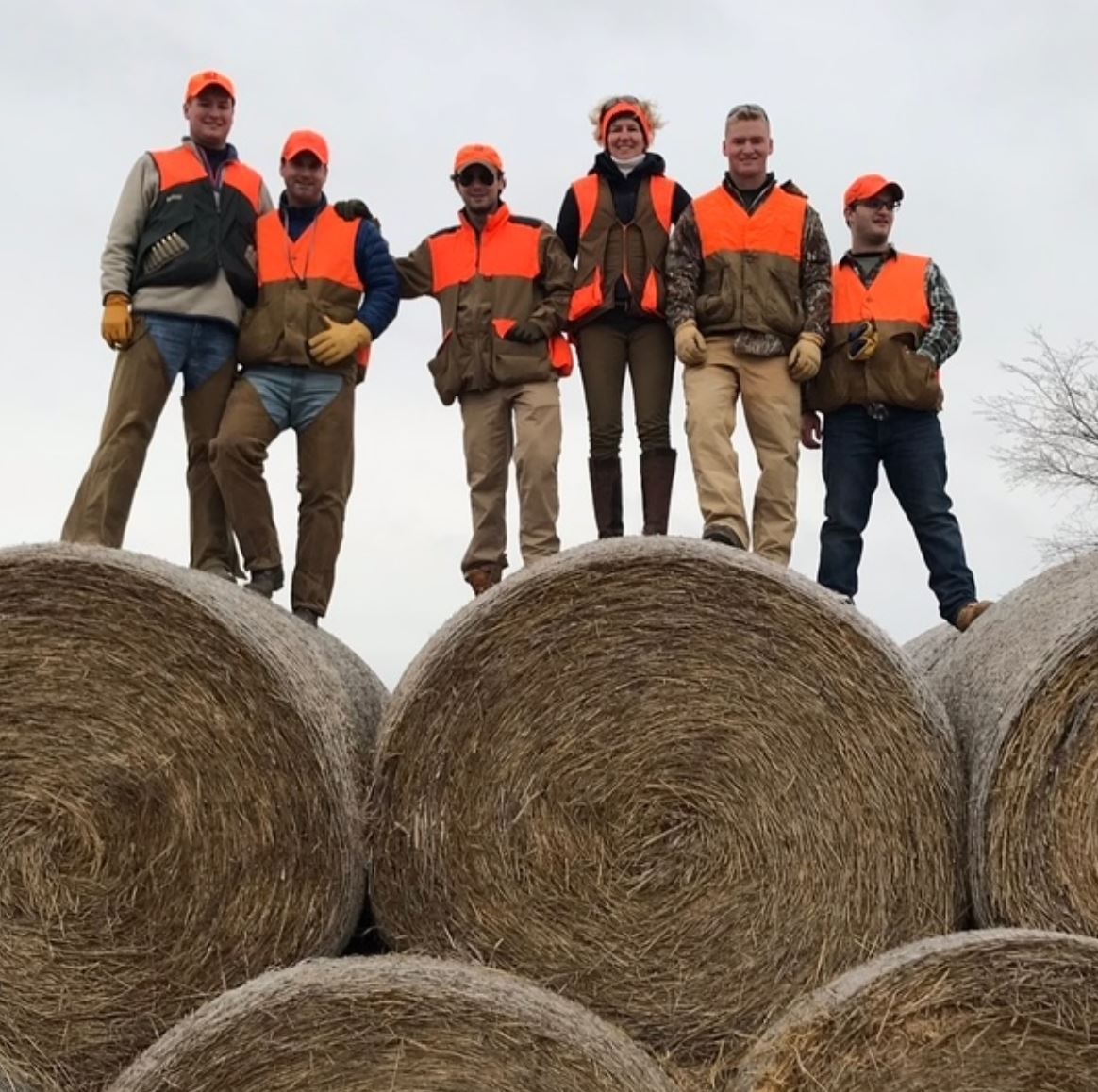 Lucy M. Stitzer - Dirt to Dinner