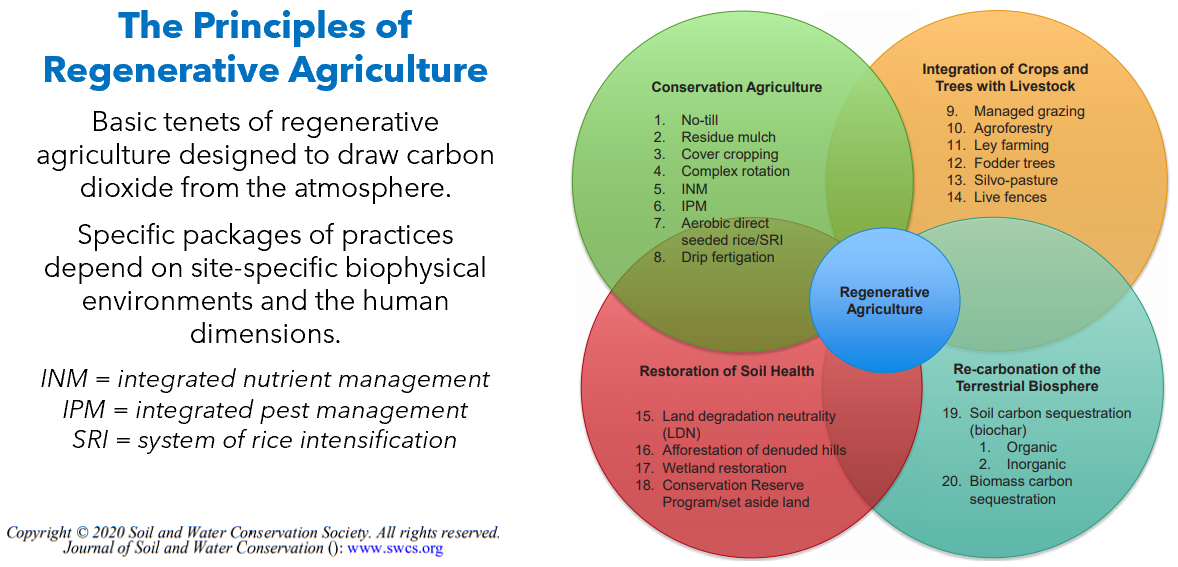 Regenerative Ag: The New ‘Sustainable’ - Dirt to Dinner