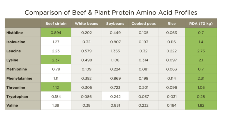 5 Nutrients Unique to Meat - Dirt to Dinner