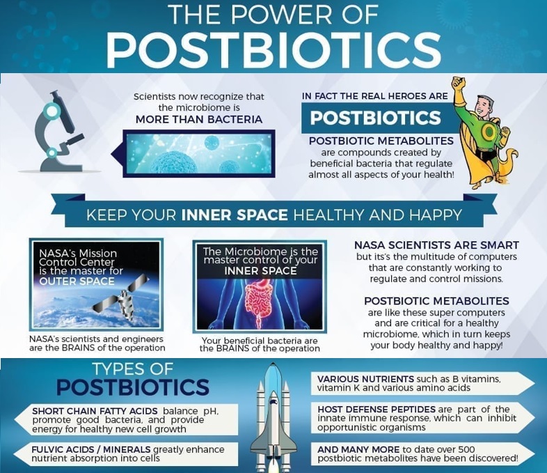Postbiotics: You Are What You Digest - Dirt to Dinner