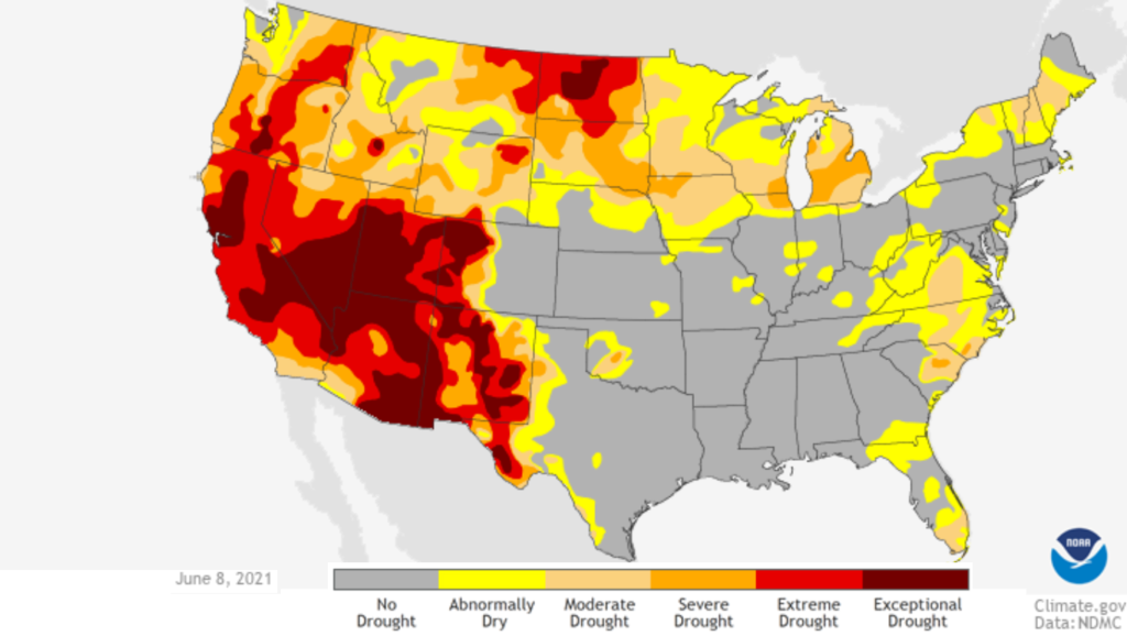Drought: The “Hidden Global Crisis” - Dirt to Dinner