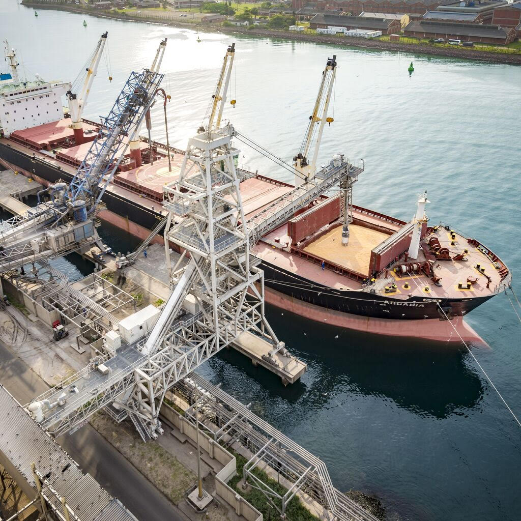 Global Trade Can't Happen without Ocean Freight - Dirt to Dinner