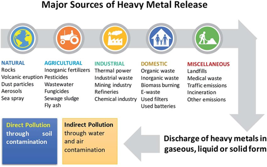 Heavy metal exposure: what to know - Dirt to Dinner