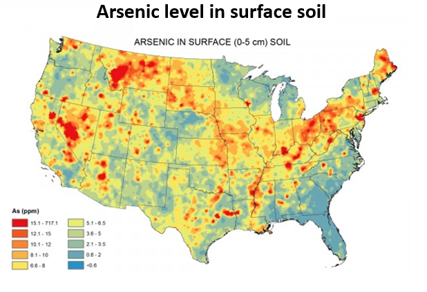 Heavy metal exposure: what to know - Dirt to Dinner
