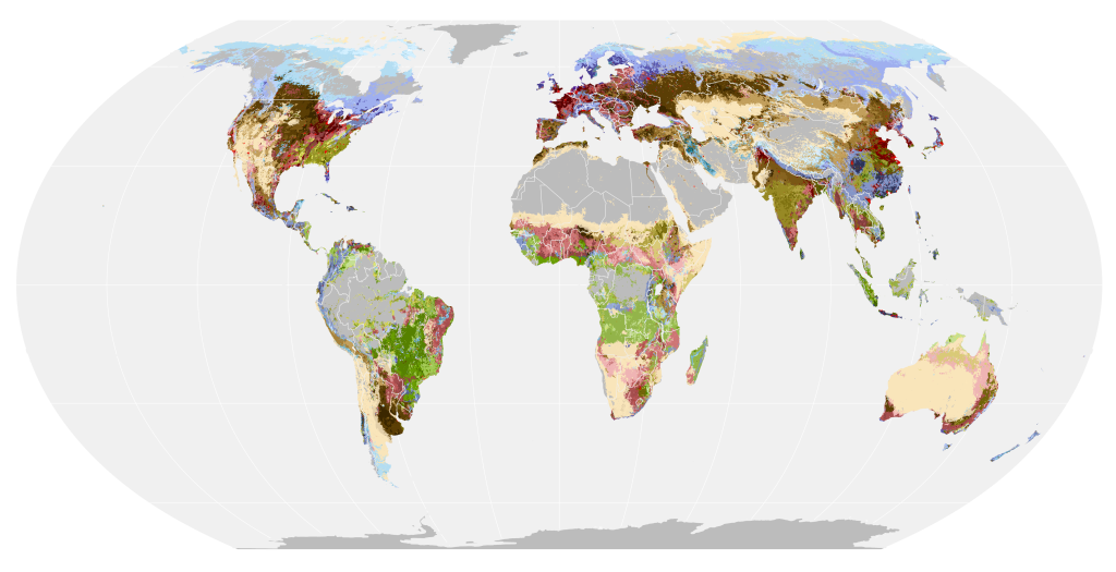Feeding the World while Healing the Planet - Dirt to Dinner